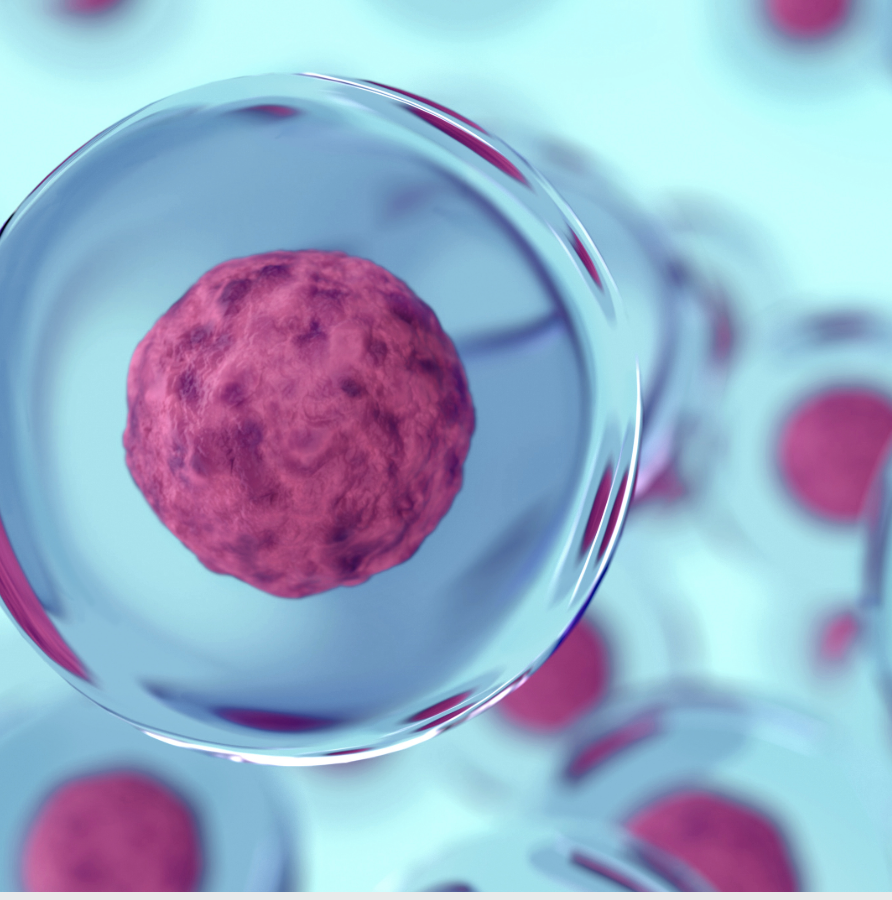 C-STARS - Center for Science, Technology and Advanced Research